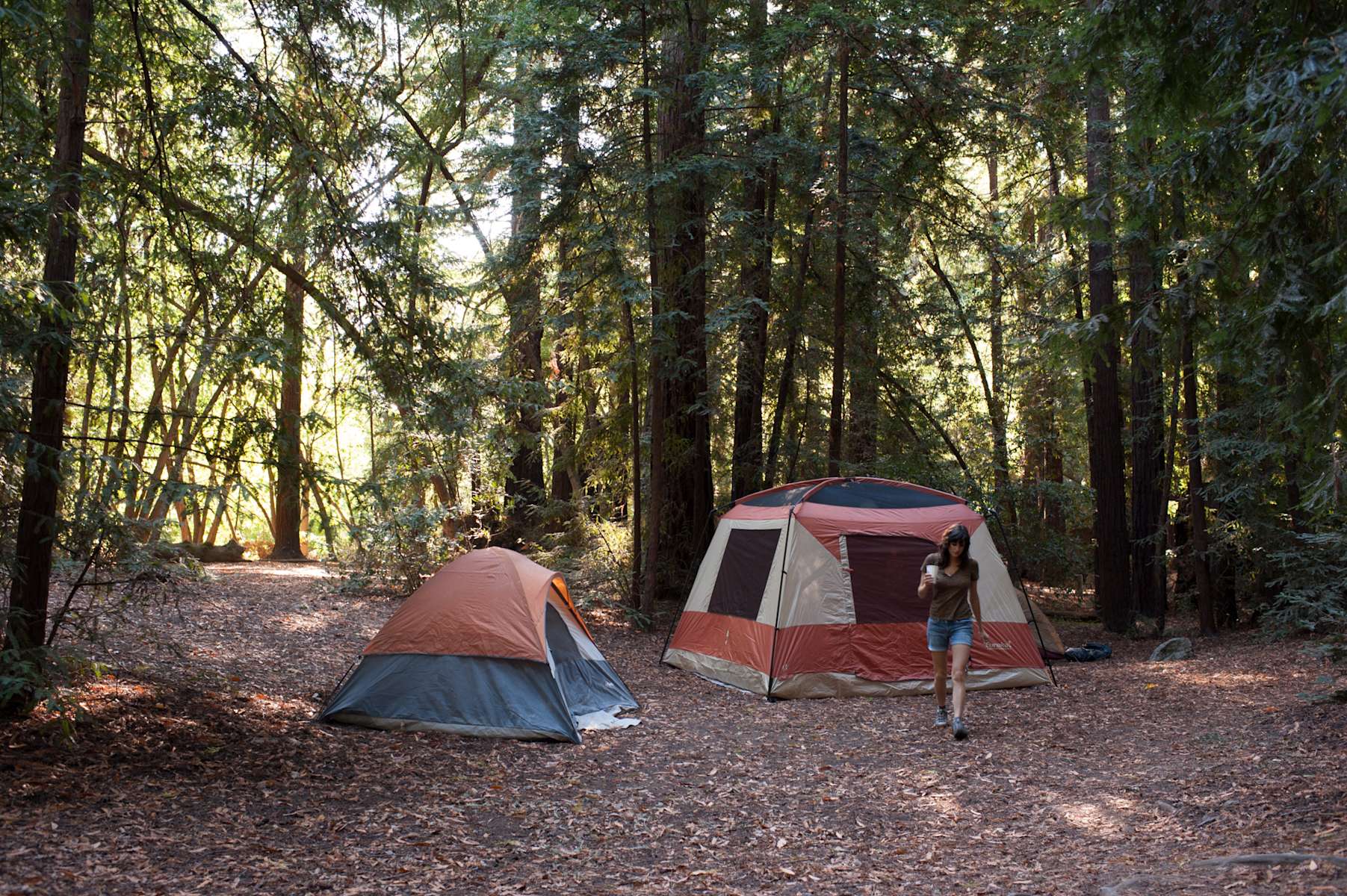 Pfeiffer Big Sur Campground Change Comin Pfeiffer Big Sur Campground Change Comin