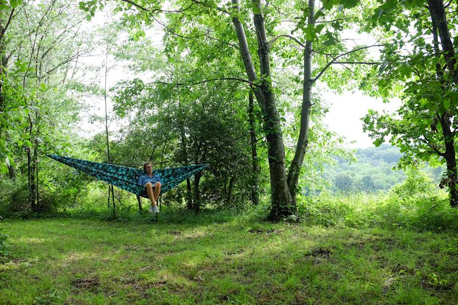 Spring Valley Flowers Fredericksburg Ohio | Best Flower Site