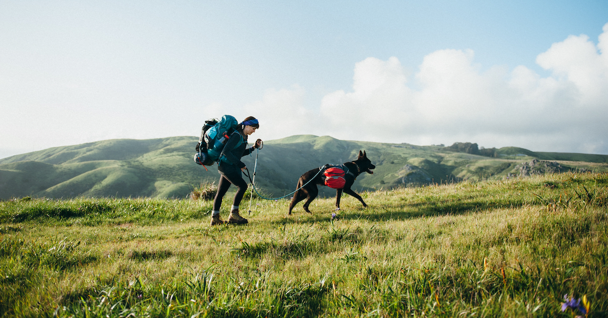 15 New Glamping sites for the 2015 Season - Hipcamp Journal