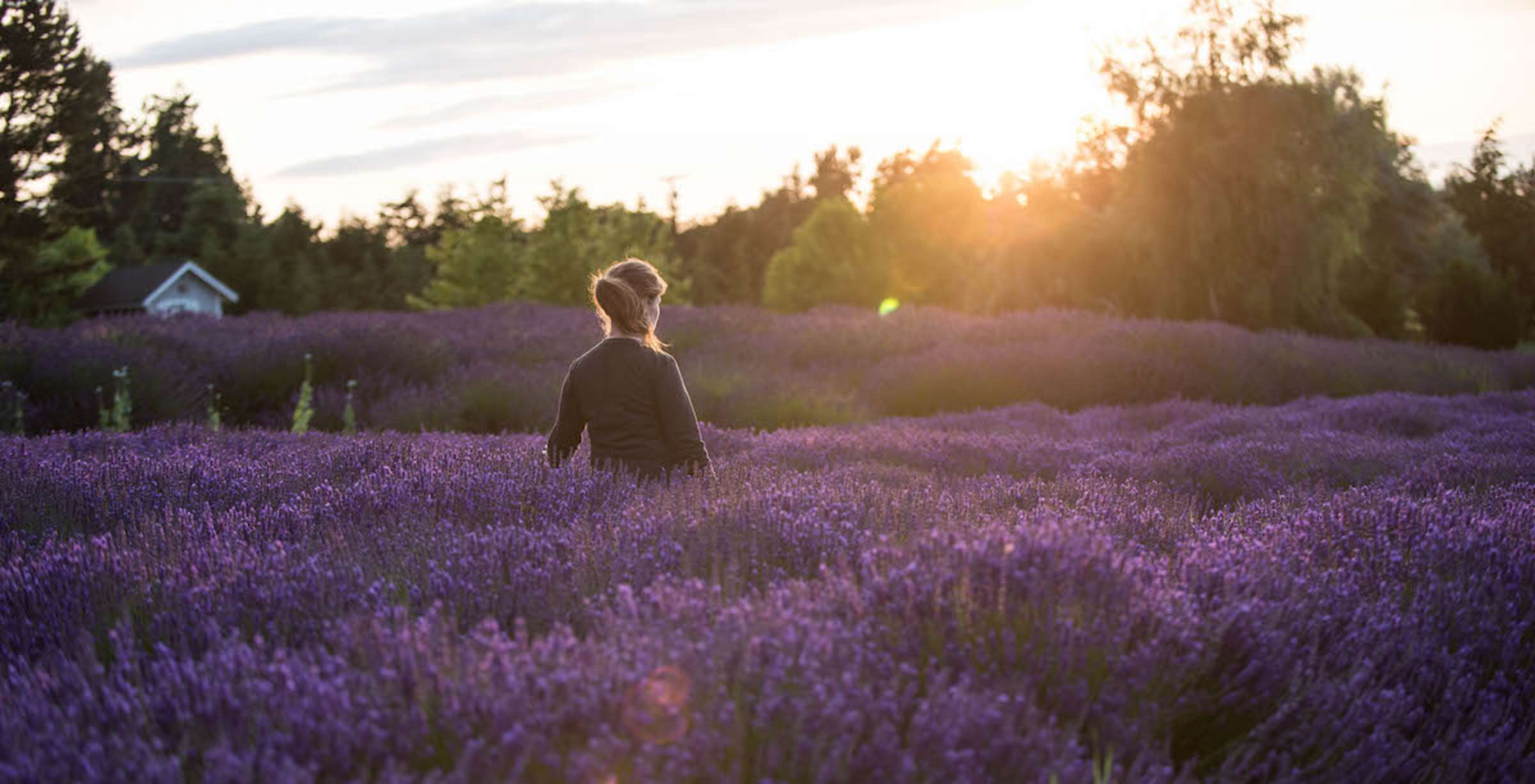 Go Camping at These Colorful Flower Farms | Hipcamp Journal
