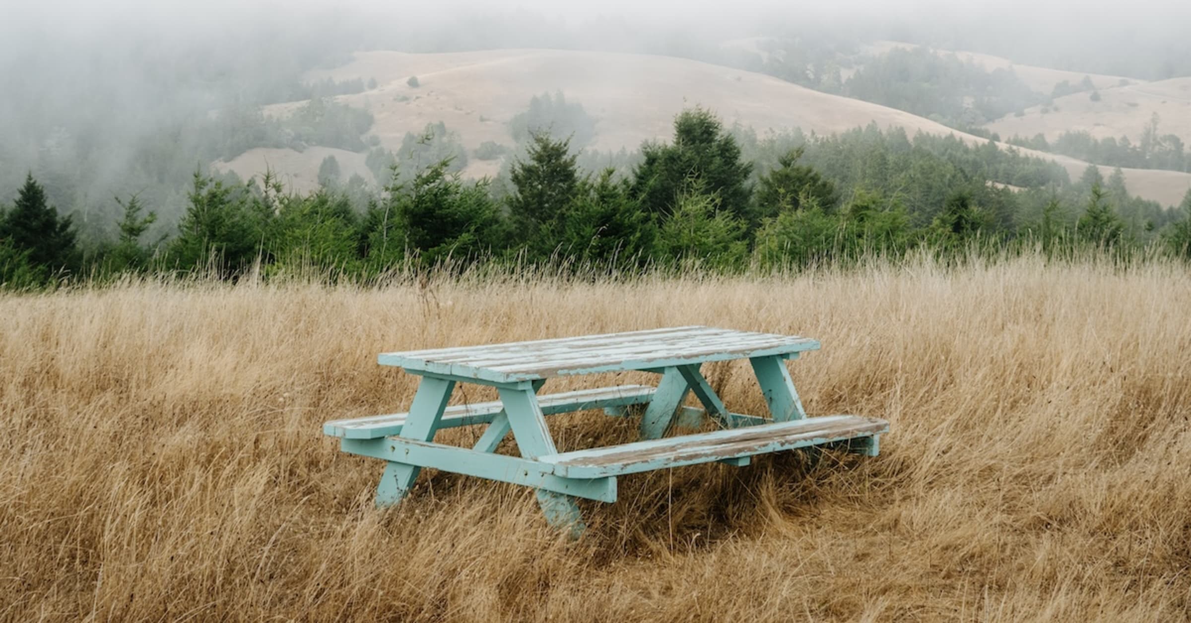This Magical Sonoma County Farm Combines Ranching, Recreation, and ...